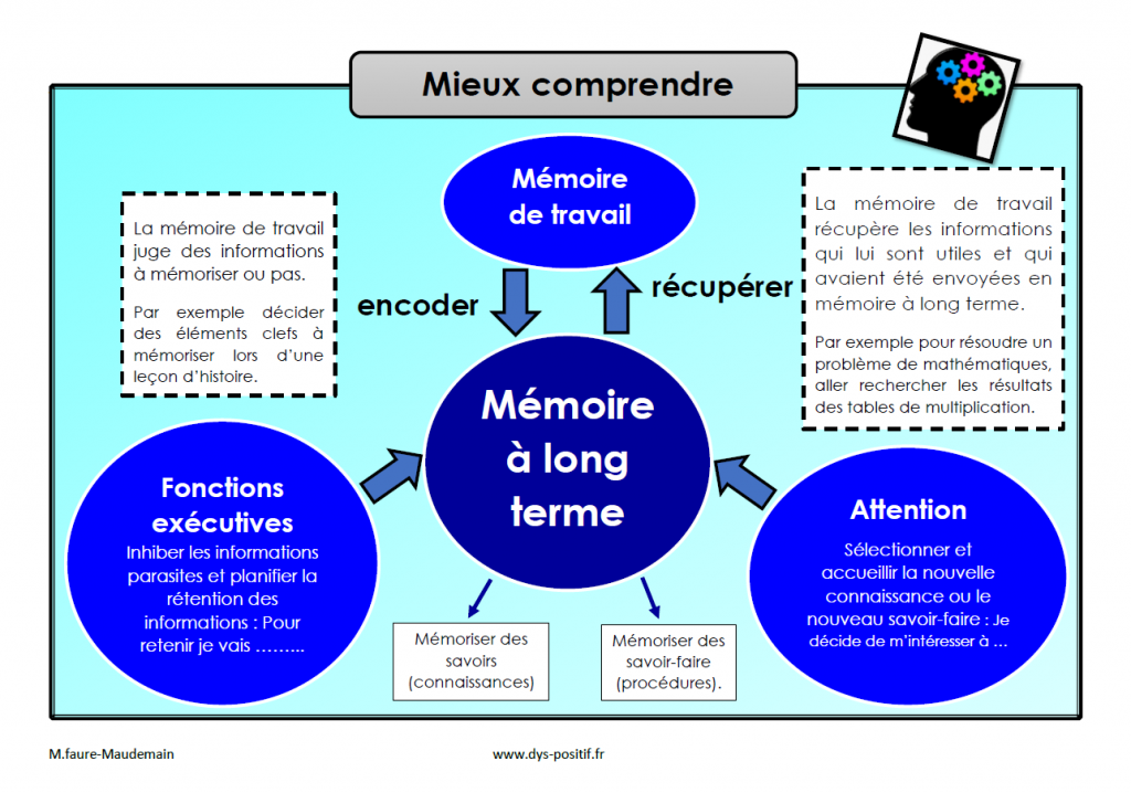 Les 5 types de mémoire - DYS-POSITIF