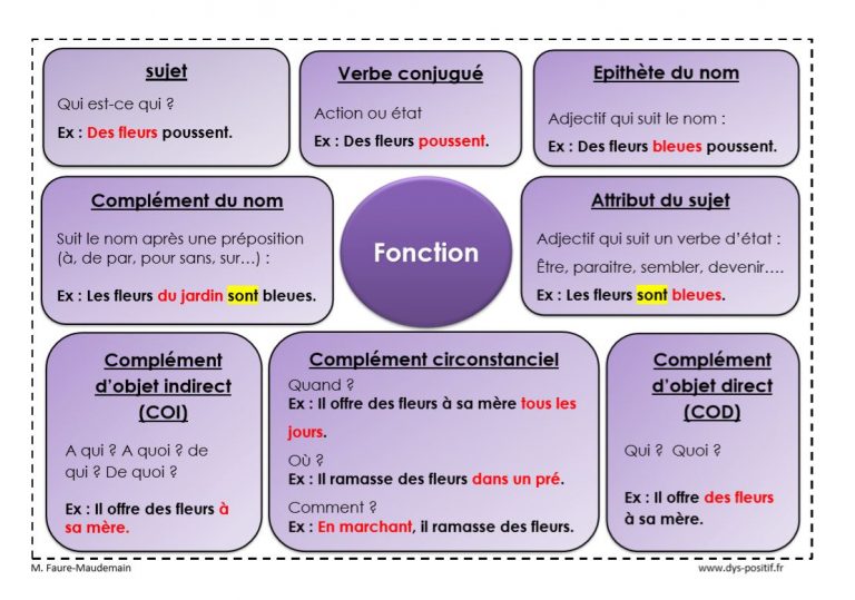 carte mentale fonction - DYS-POSITIF